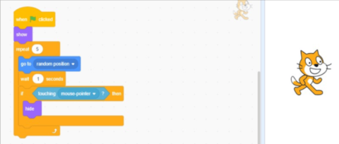 How To Create A Breakable Loop In Scratch Programming - BrightChamps Blog