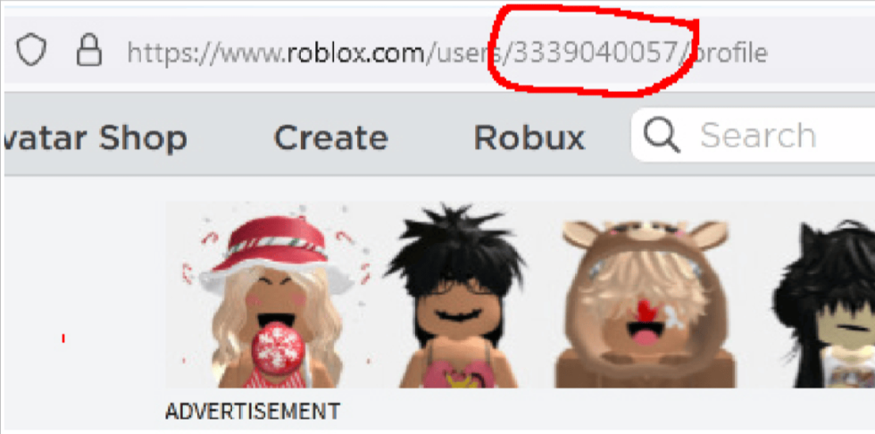 How To Find Your Roblox User Id In Minutes: 2022 Quick Guide ...
