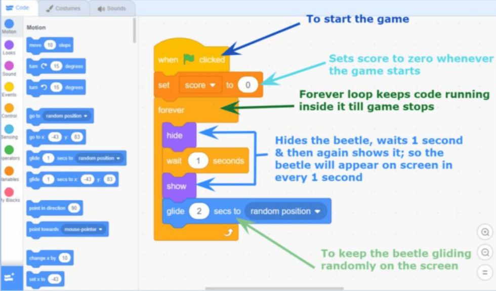 How To Create A Beetle Game On Scratch: [Step By Step Guide]