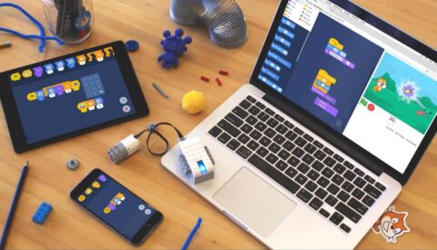 Scratch Programming User and Growth Statistics 2022 - BrightChamps Blog