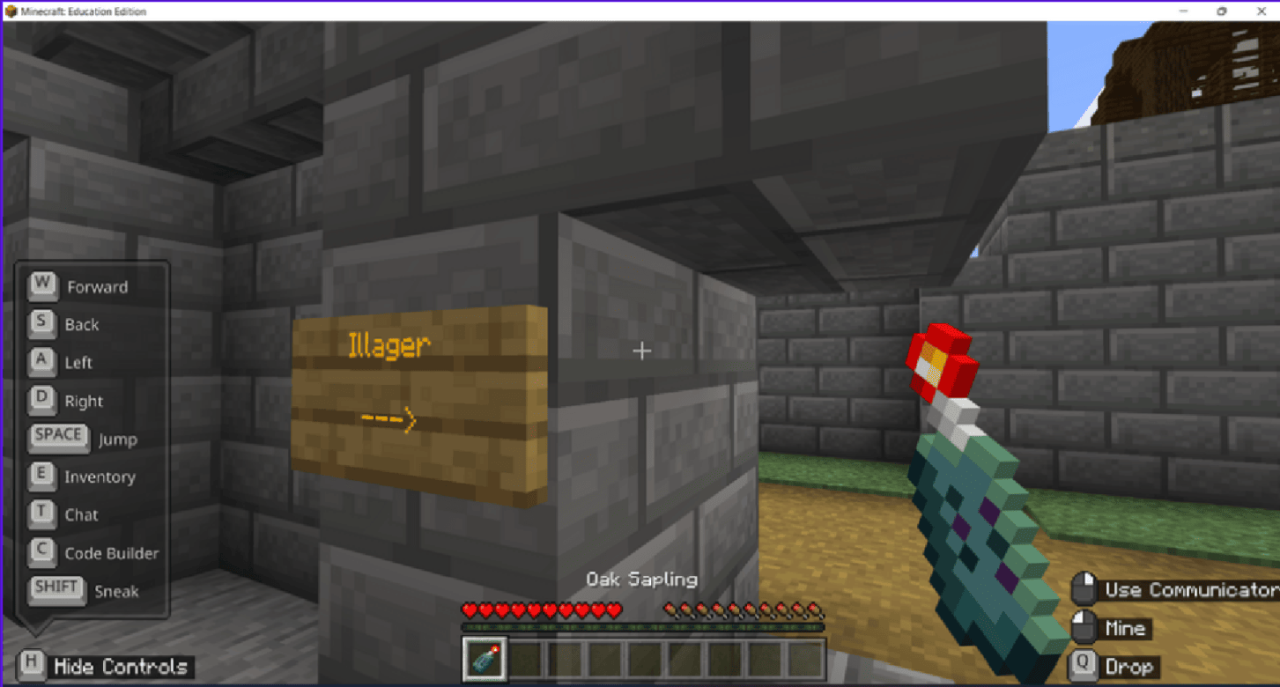 Minecraft Coding for Kids - BrightChamps Blog