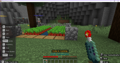 Minecraft Coding for Kids - BrightChamps Blog