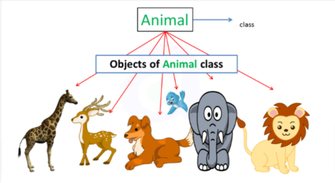 OOPS Concepts in Java for Kids (With Examples) - BrightChamps Blog