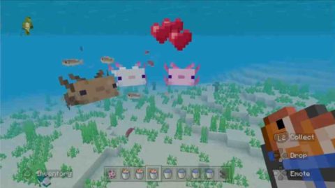 Minecraft Axolotl: How to Tame, Breed, and Summon Minecraft Axolotl ...