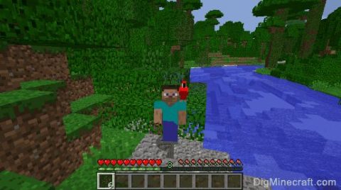 Complete Guide to Tame a Minecraft Parrot - BrightChamps Blog