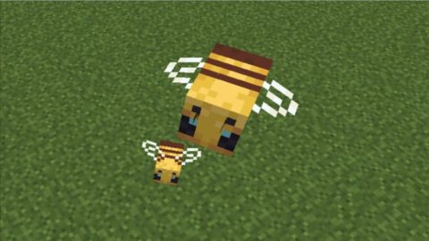 Minecraft Beehive & Bee Farm Explained - BrightChamps Blog