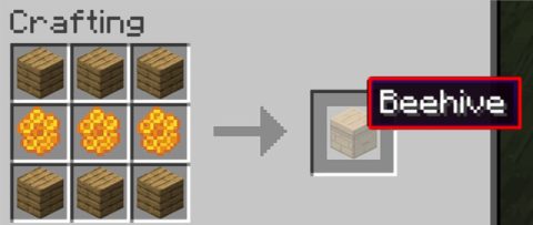 Minecraft Beehive & Bee Farm Explained - BrightChamps Blog
