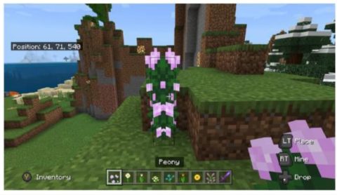 Everything you need to know about Minecraft Flowers - BrightChamps Blog