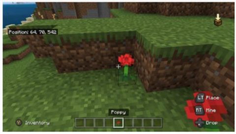 Everything you need to know about Minecraft Flowers - BrightChamps Blog