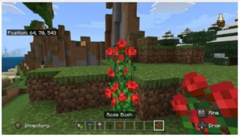 Everything you need to know about Minecraft Flowers - BrightChamps Blog