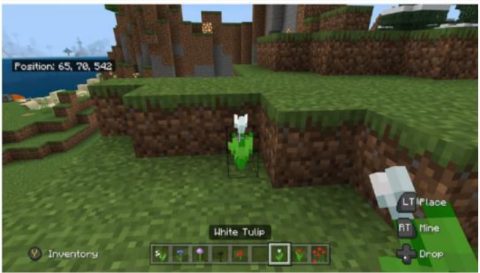 Everything you need to know about Minecraft Flowers - BrightChamps Blog