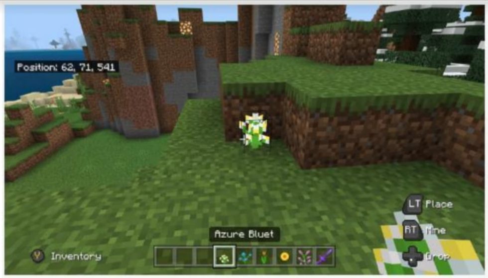 Everything you need to know about Minecraft Flowers - BrightChamps Blog