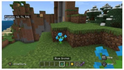 Everything you need to know about Minecraft Flowers - BrightChamps Blog