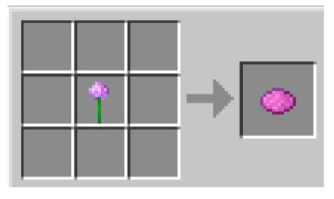 Everything you need to know about Minecraft Flowers - BrightChamps Blog