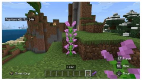 Everything you need to know about Minecraft Flowers - BrightChamps Blog