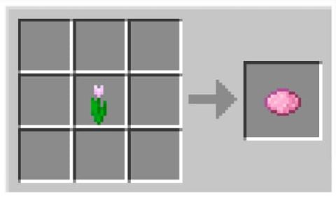 Everything you need to know about Minecraft Flowers - BrightChamps Blog