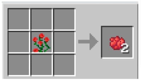Everything you need to know about Minecraft Flowers - BrightChamps Blog