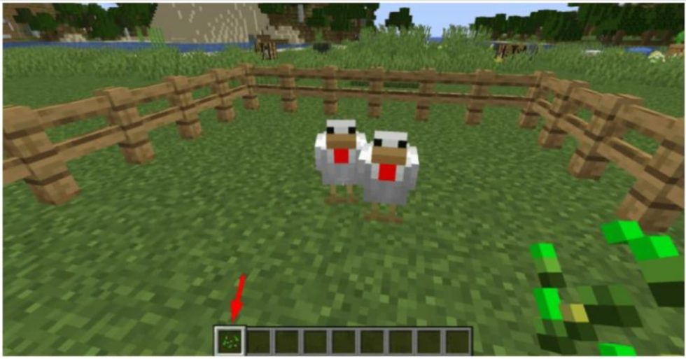 The Best Minecraft animals to Tame - BrightChamps Blog