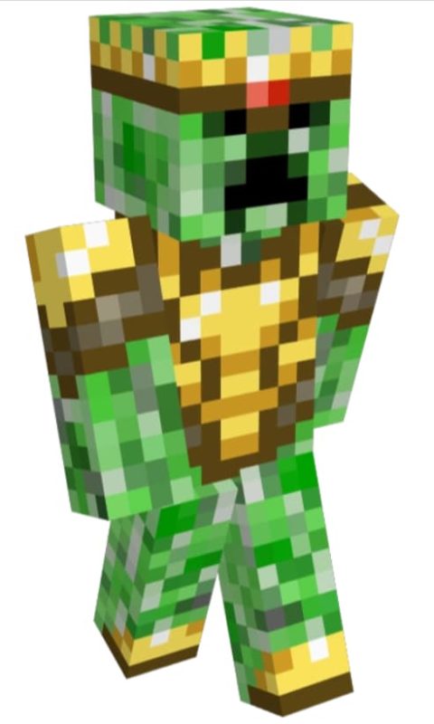 Top DSMP Members - BrightChamps Blog