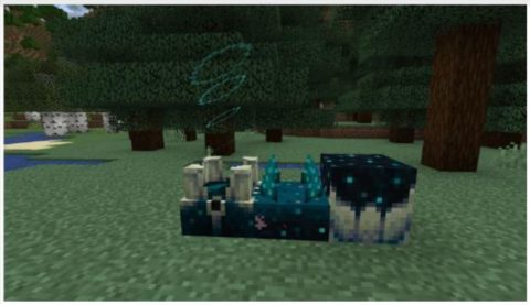 All you need to know about the Warden in Minecraft 1.19 - BrightChamps Blog